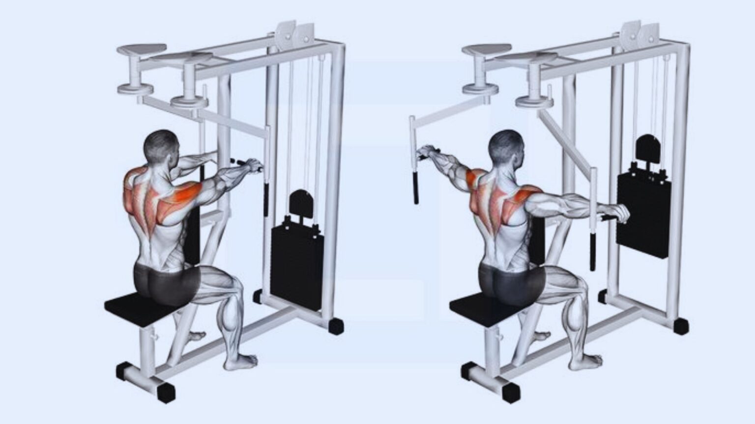 13 Arm Machines at The Gym: Names, Full List & Benefits - XcelerateGyms