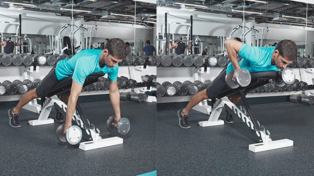 11 Levator Scapulae Strengthening Exercises for Better Posture ...