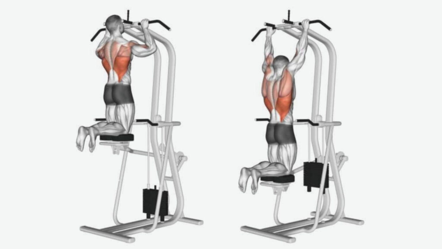 13 Arm Machines at The Gym: Names, Full List & Benefits - XcelerateGyms