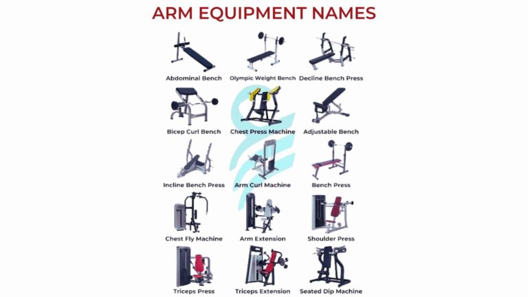 13 Arm Machines at The Gym: Names, Full List & Benefits - XcelerateGyms
