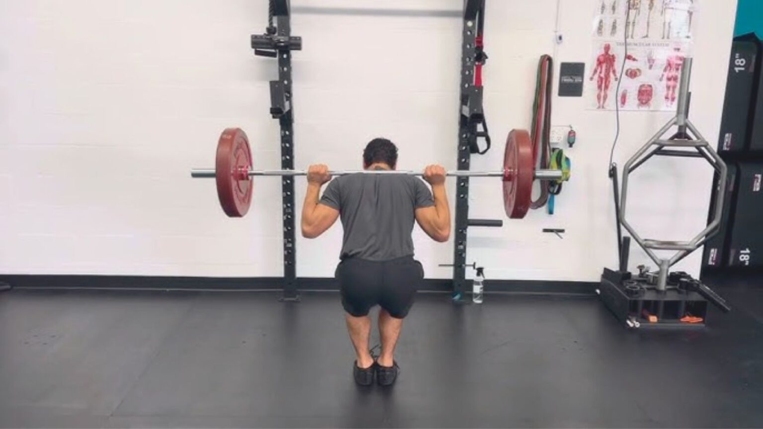 20 Different Types of Squats for Stronger Legs - XcelerateGyms