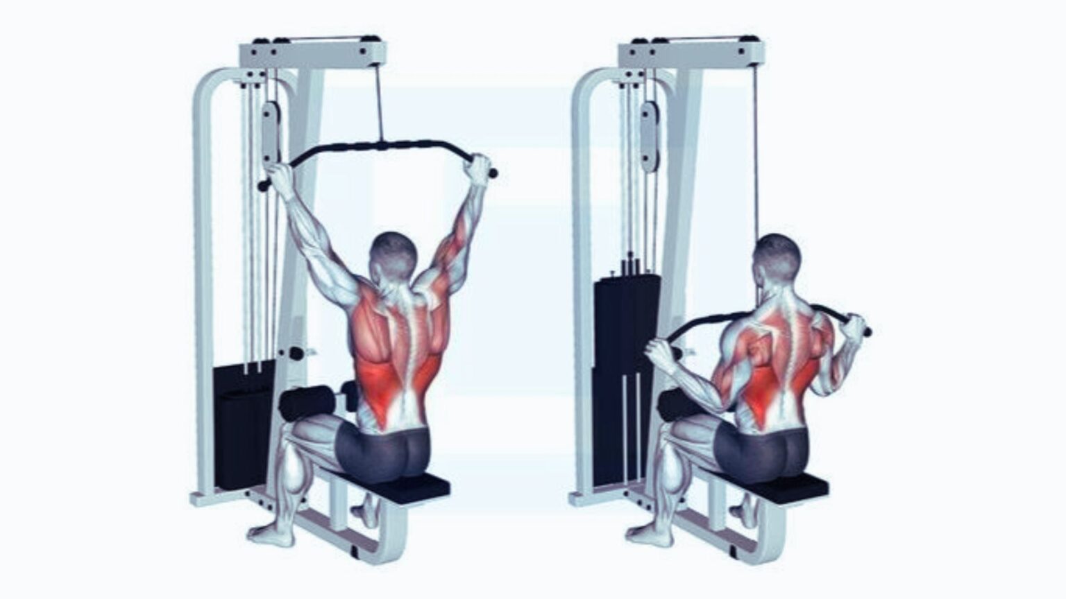 13 Arm Machines at The Gym: Names, Full List & Benefits - XcelerateGyms