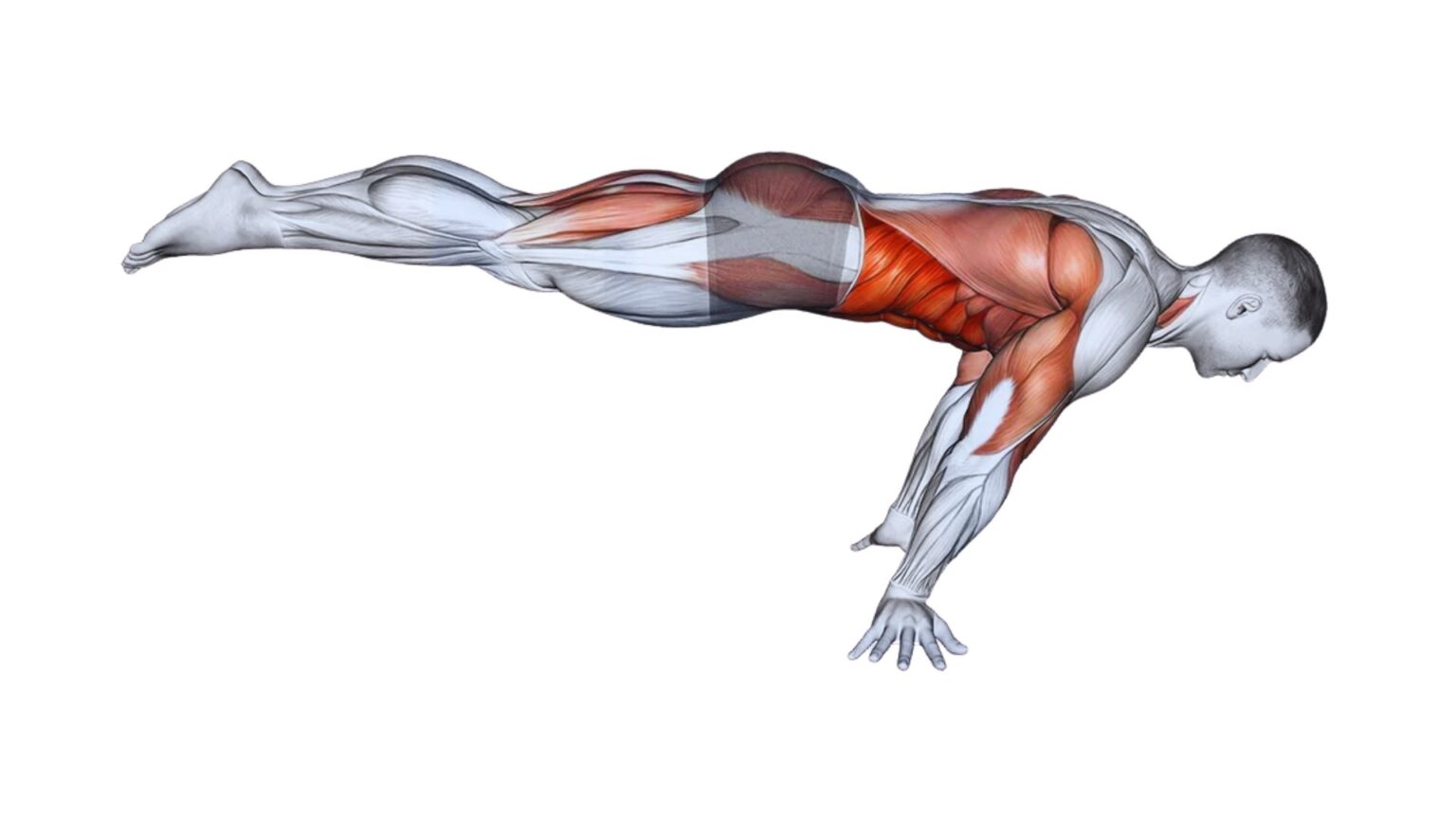 Tuck Planche Hold: Step-by-Step Beginner Guide - XcelerateGyms