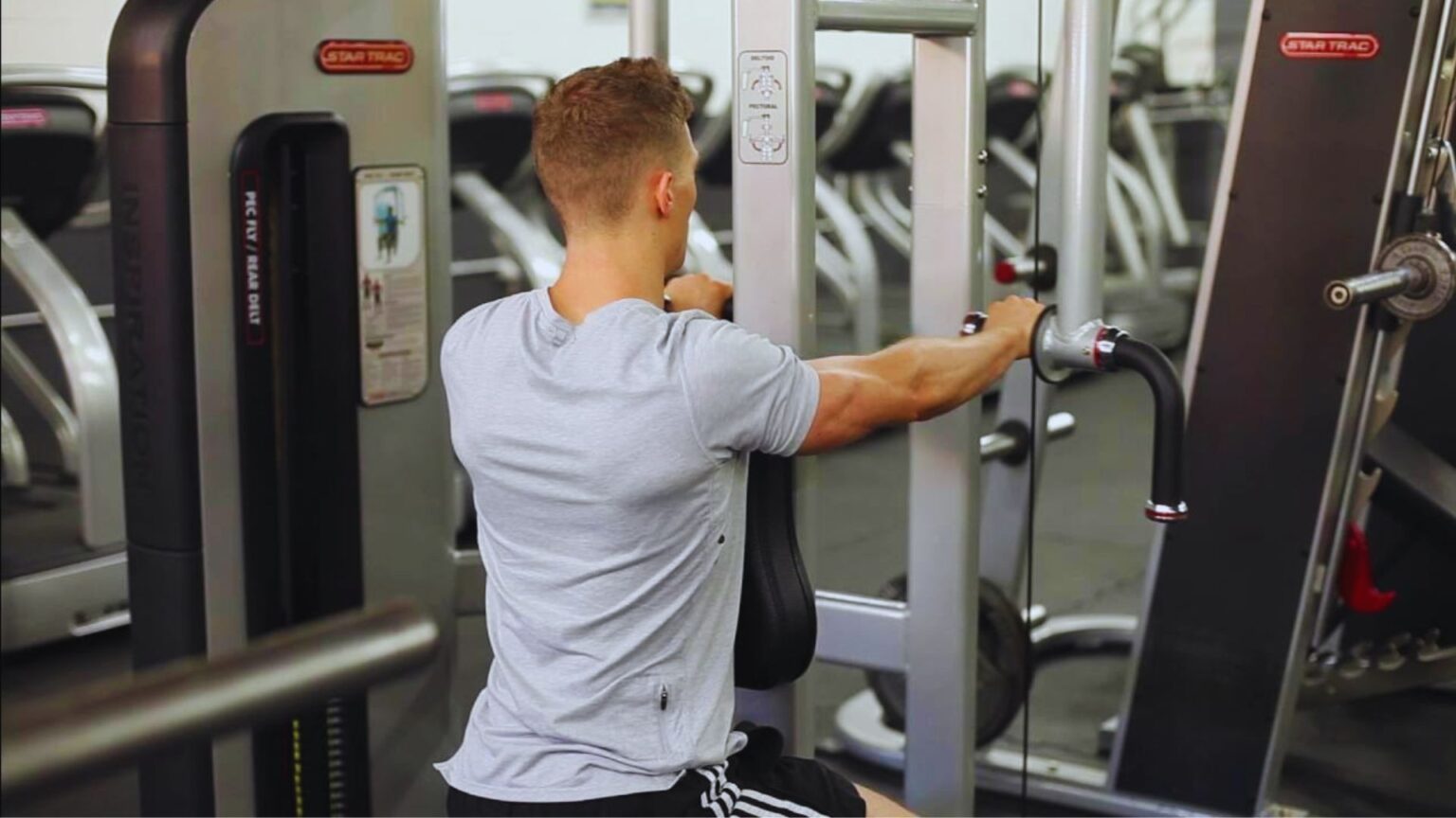 Rear Delt Fly Machine Muscles Worked: Complete Guide - XcelerateGyms