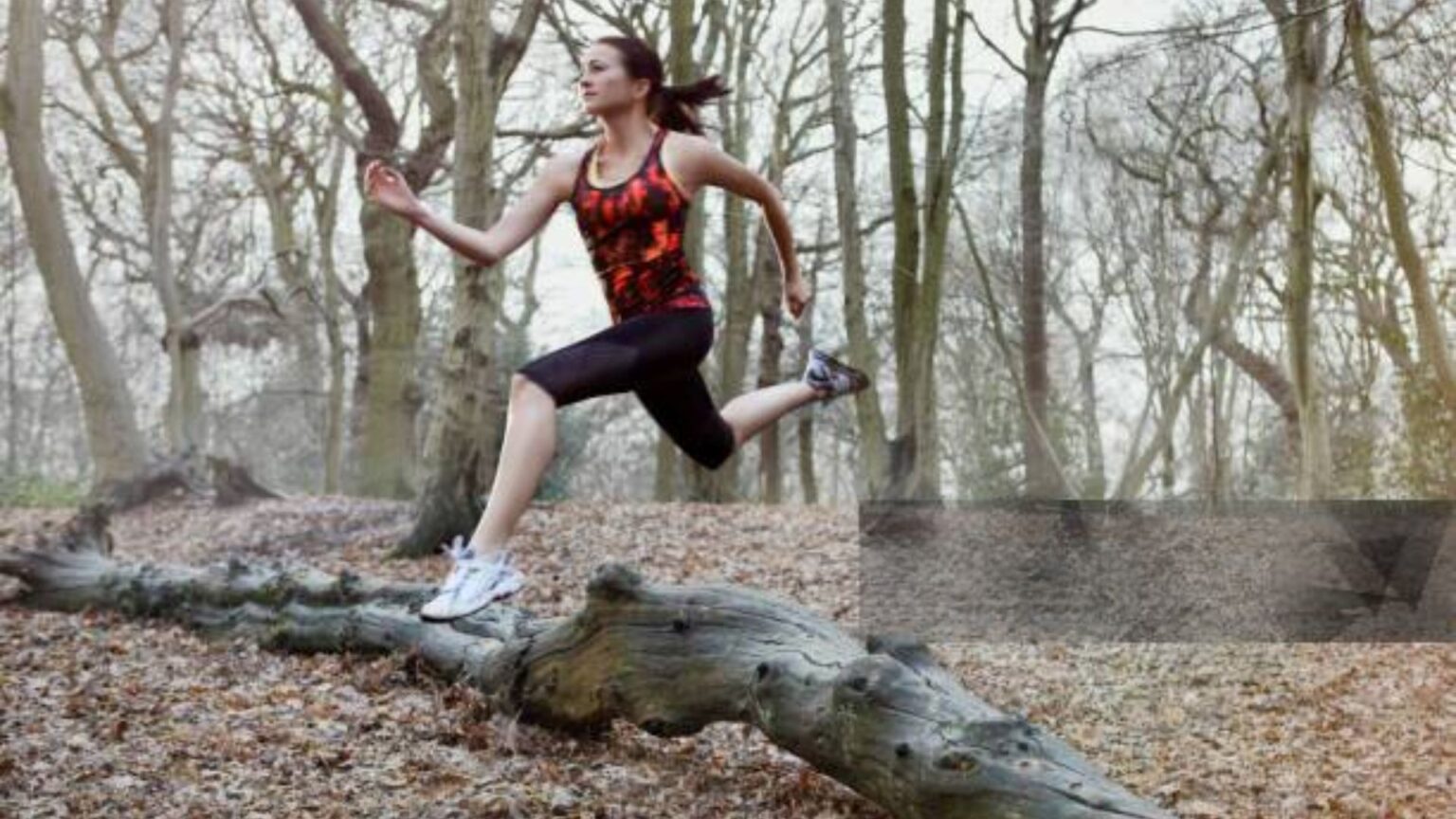 Insanity Core Cardio and Balance Workout Guide - XcelerateGyms