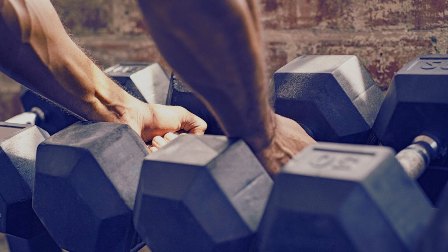 13 Types of Weights for Strength, Endurance & Fitness - XcelerateGyms