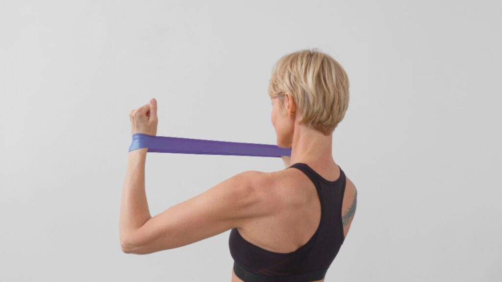 9 Scapular Retraction Exercises: How to Do Them Correctly - XcelerateGyms