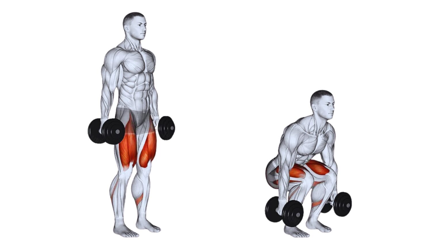 17 Dumbbell Squat Variations to Build Muscle - XcelerateGyms