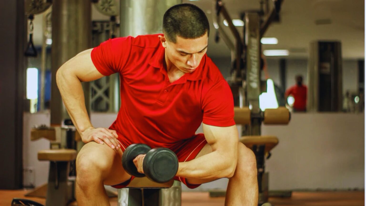 Hammer Curls Machine Tricks Experts Don’t Tell You - XcelerateGyms