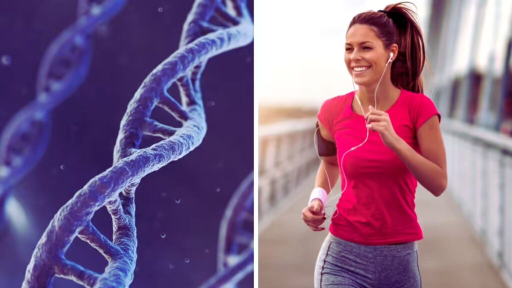 Sway Back Posture: Causes, and How to Fix It - XcelerateGyms