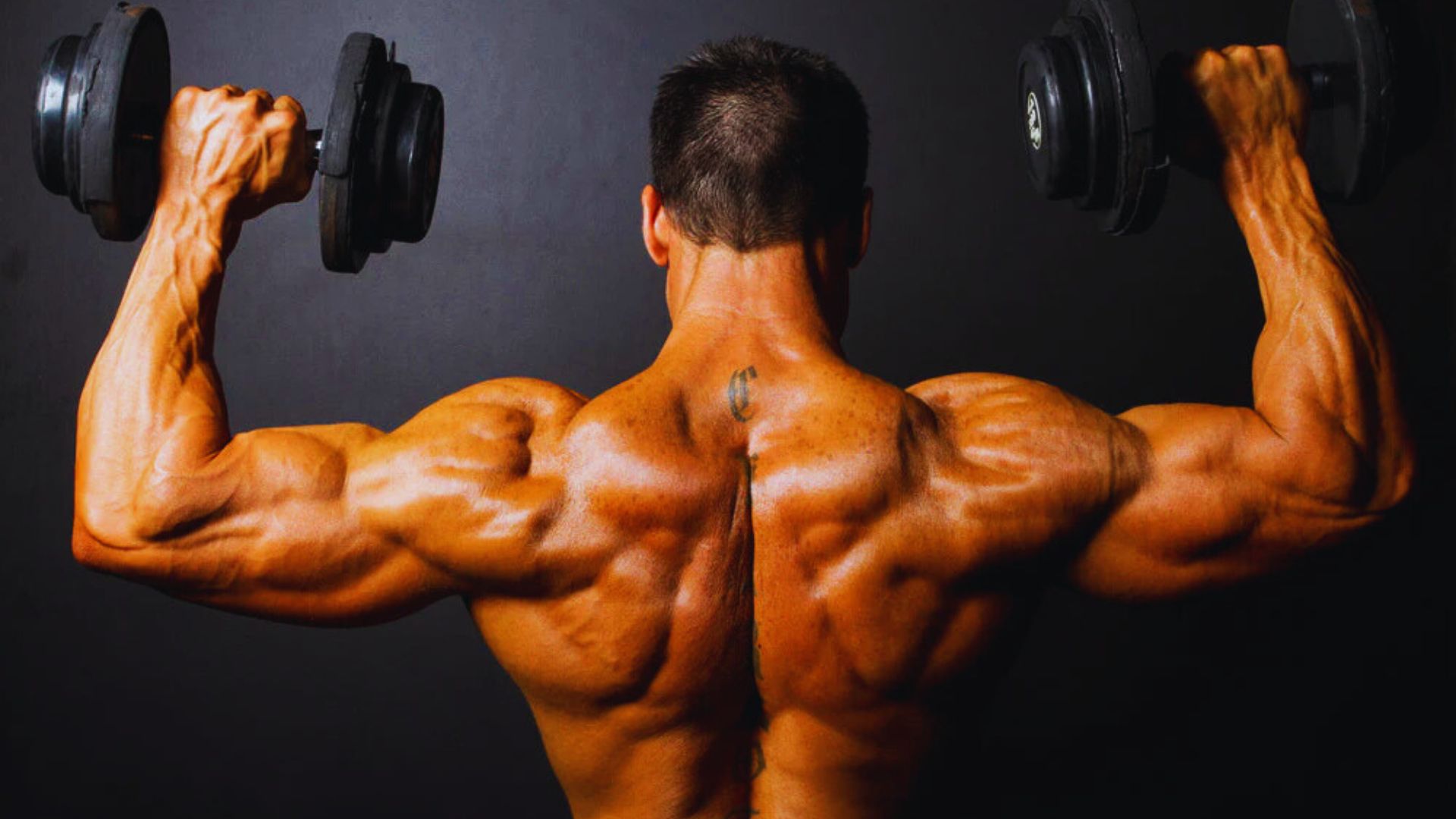 Incline Shoulder Press Step-by-Step Guide - XcelerateGyms