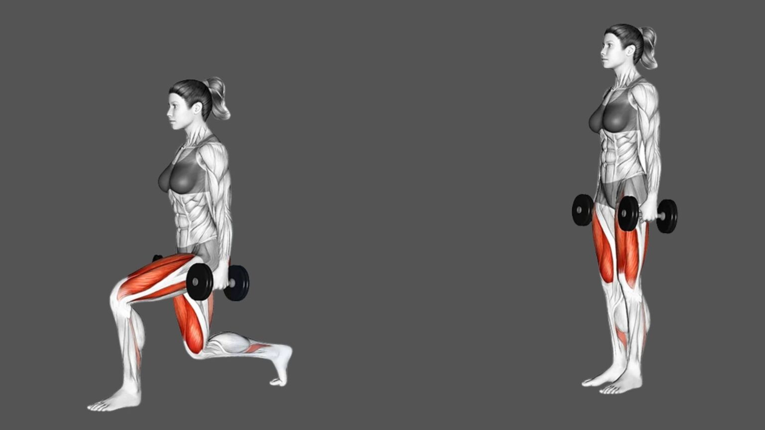 15 Best Dumbbell Quad Exercises for Strong Legs - XcelerateGyms