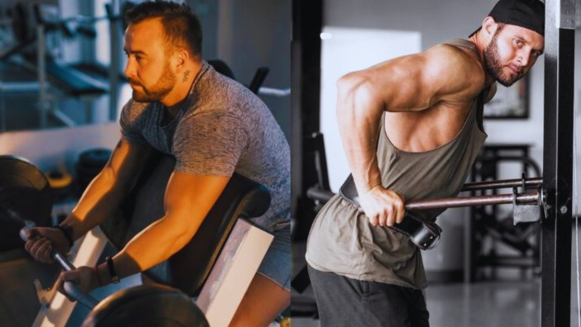 Superset vs Circuit Training: Differences, Benefits & Goals - XcelerateGyms